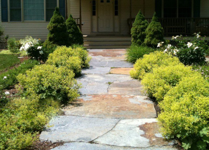Walkways and Paths – Terrascapes